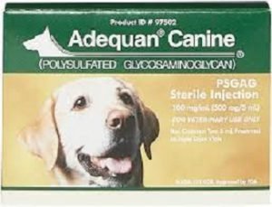 Adequan Problems - With Dose Calculator